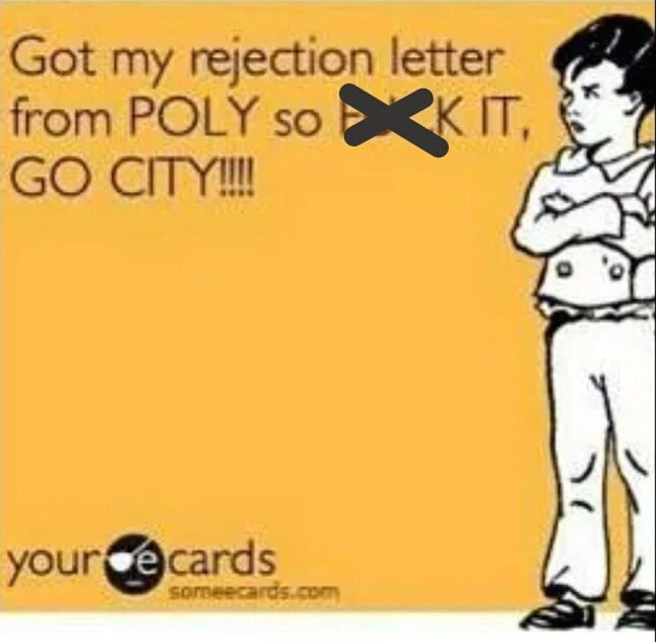 Poly Pace Memes